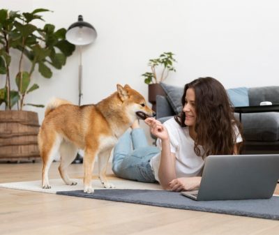 Pet Rehoming | Pet Pros Services