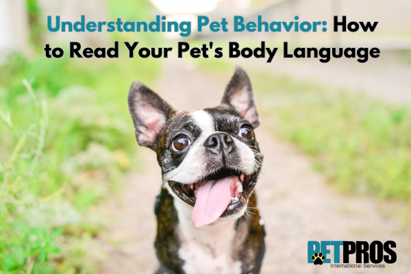 Understanding Pet Behavior: How to Read Your Pet's Body Language - Pet ...